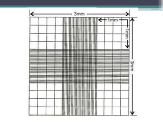 Counting Cells With A Hemocytometer? All You Need To Know, 55% OFF