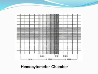 It is a technique used tienumerate the total cell count in the blood or other biological body ...