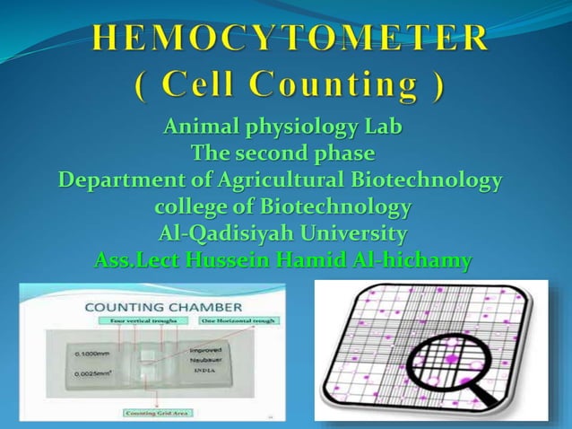 It is a technique used tienumerate the total cell count in the blood or ...