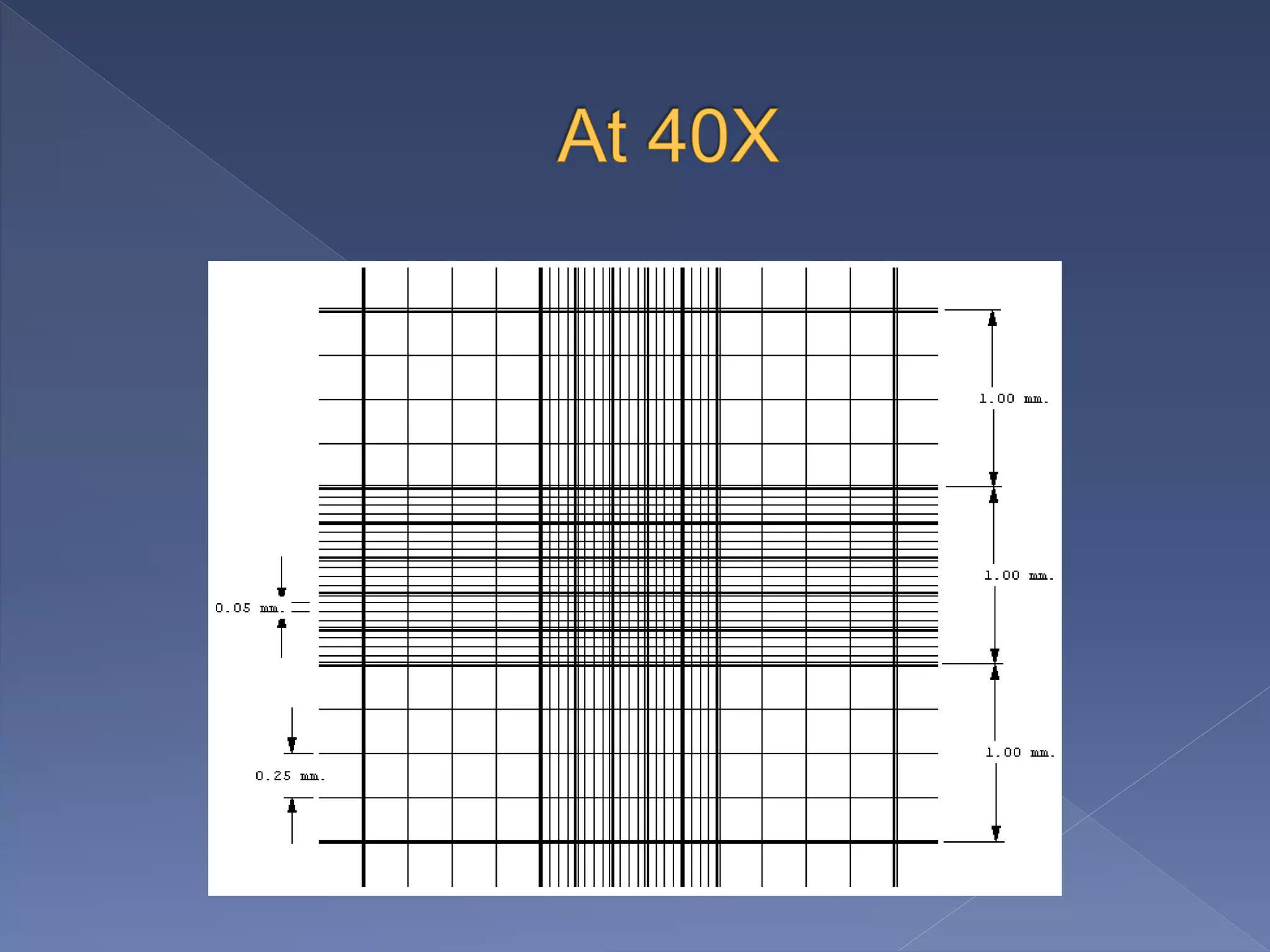 Hemocytometer | PPTX