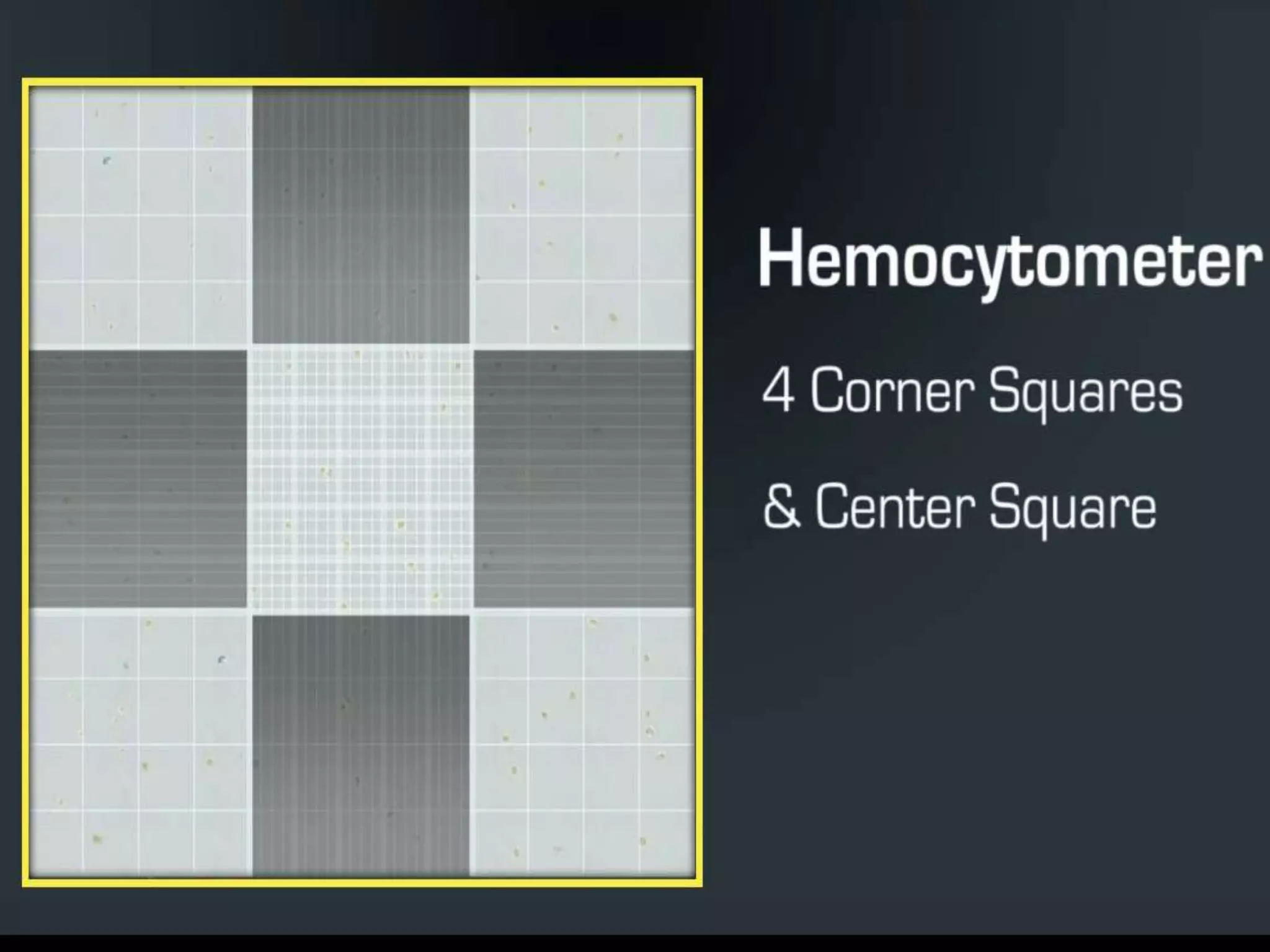 Hemocytometer | PPTX