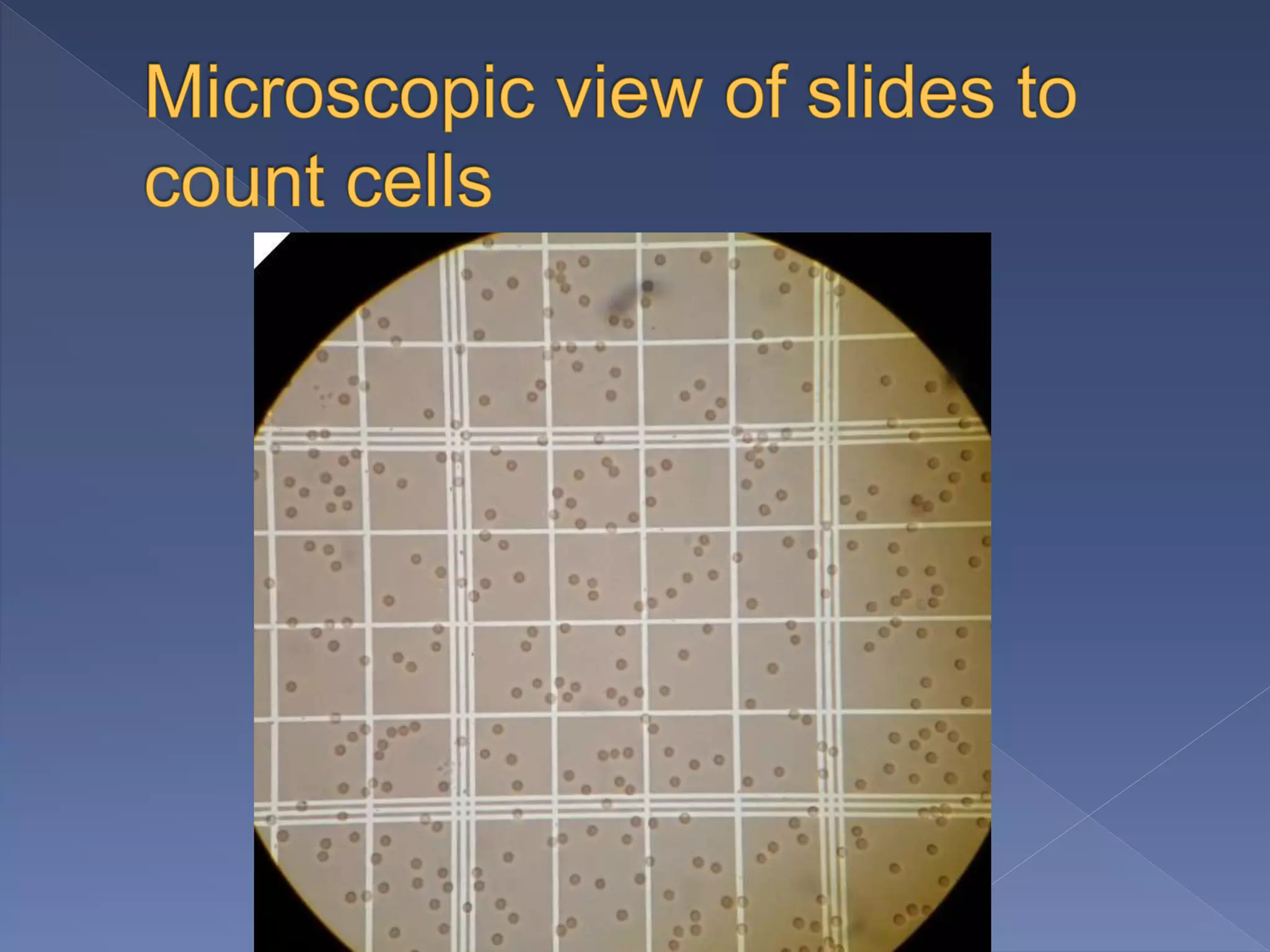 Hemocytometer | PPTX