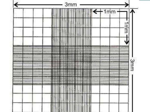 Hemocytometer Pptx