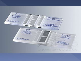 Hemocytometer | PPTX