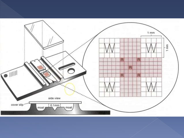 Hemocytometer | PPTX
