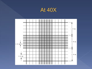 Counting Cells With A Hemocytometer? All You Need To Know, 55% OFF