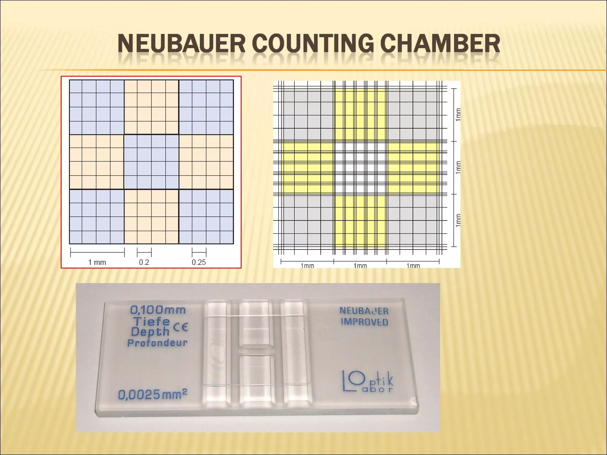 Hemocytometer manual cell counting (1) | PPT