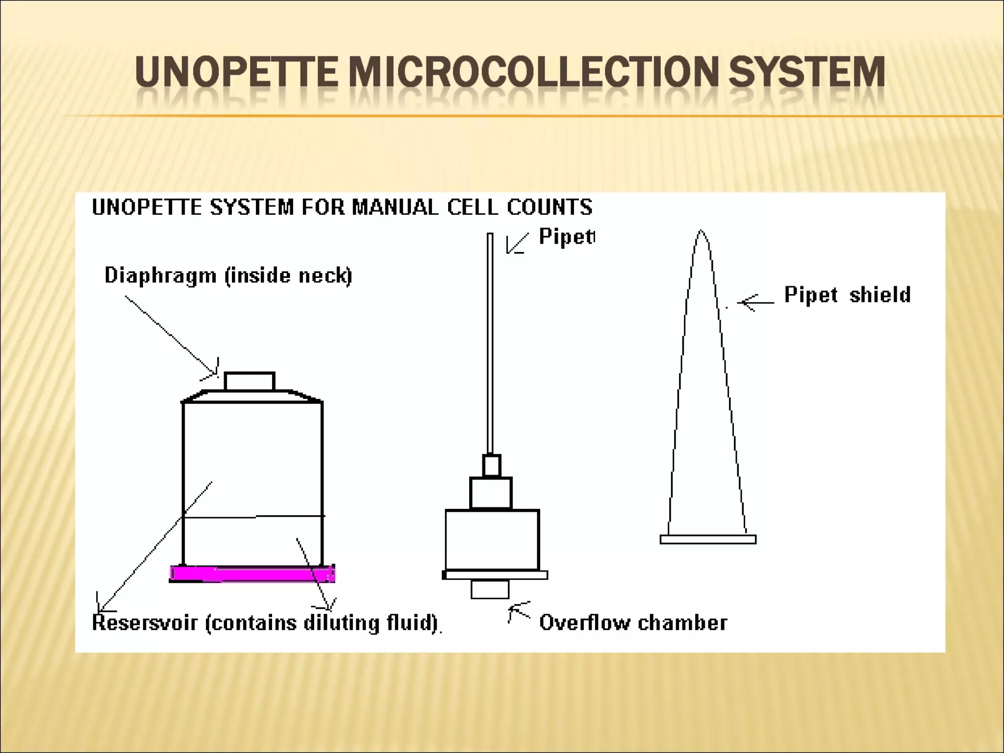Hemocytometer manual cell counting (1) | PPT
