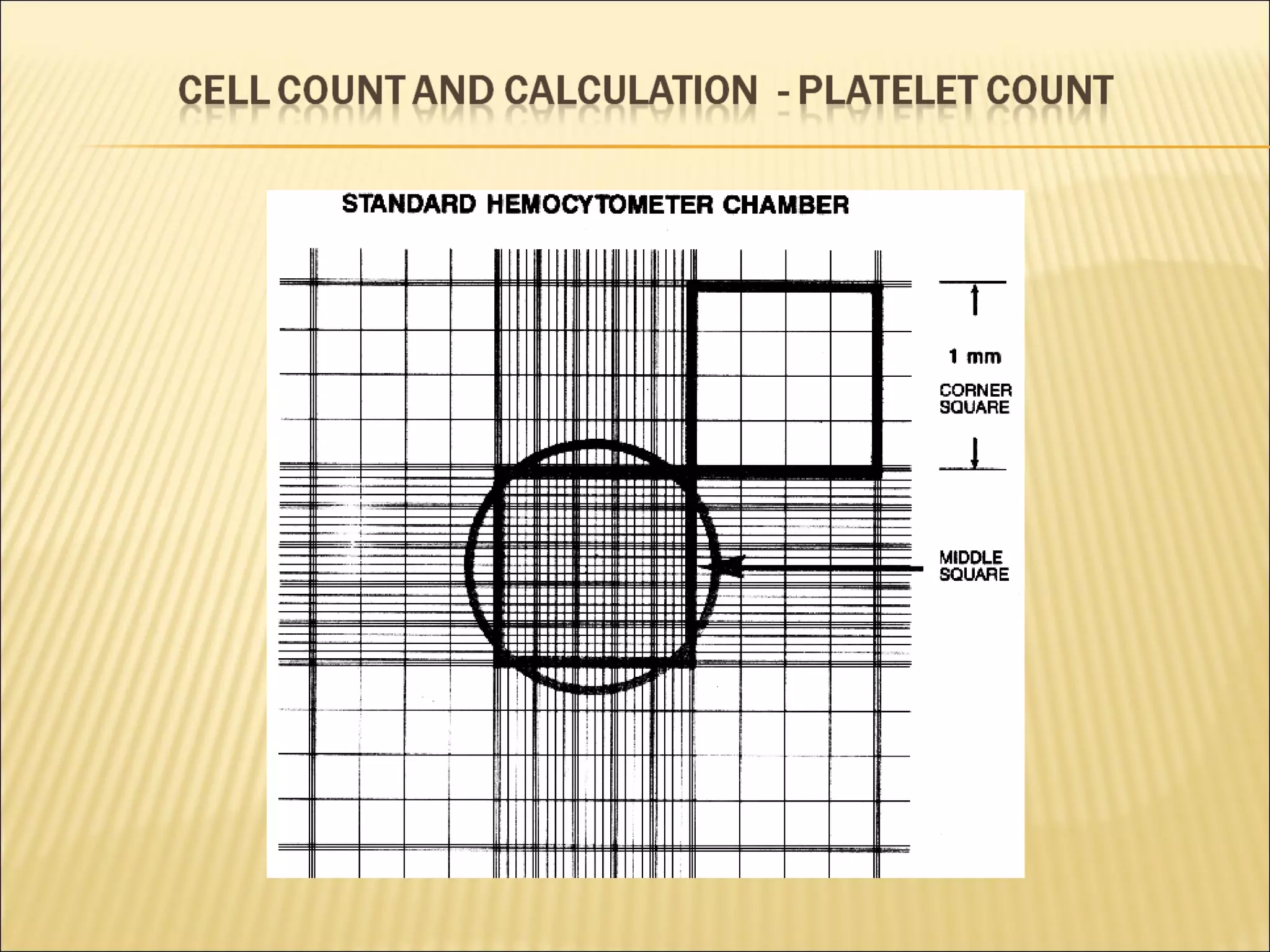 Hemocytometer manual cell counting (1) | PPT