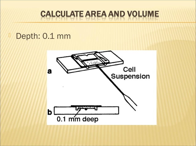 Hemocytometer manual cell counting (1) | PPT
