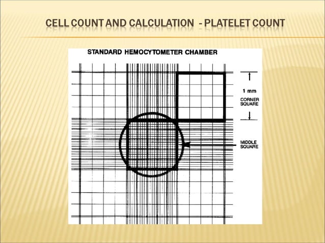 Hemocytometer manual cell counting (1) | PPT