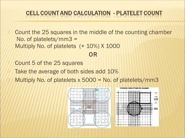 Hemocytometer manual cell counting (1) | PPT