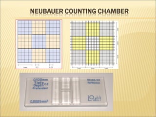 Manual Cell Counting Labster Theory, 55% OFF