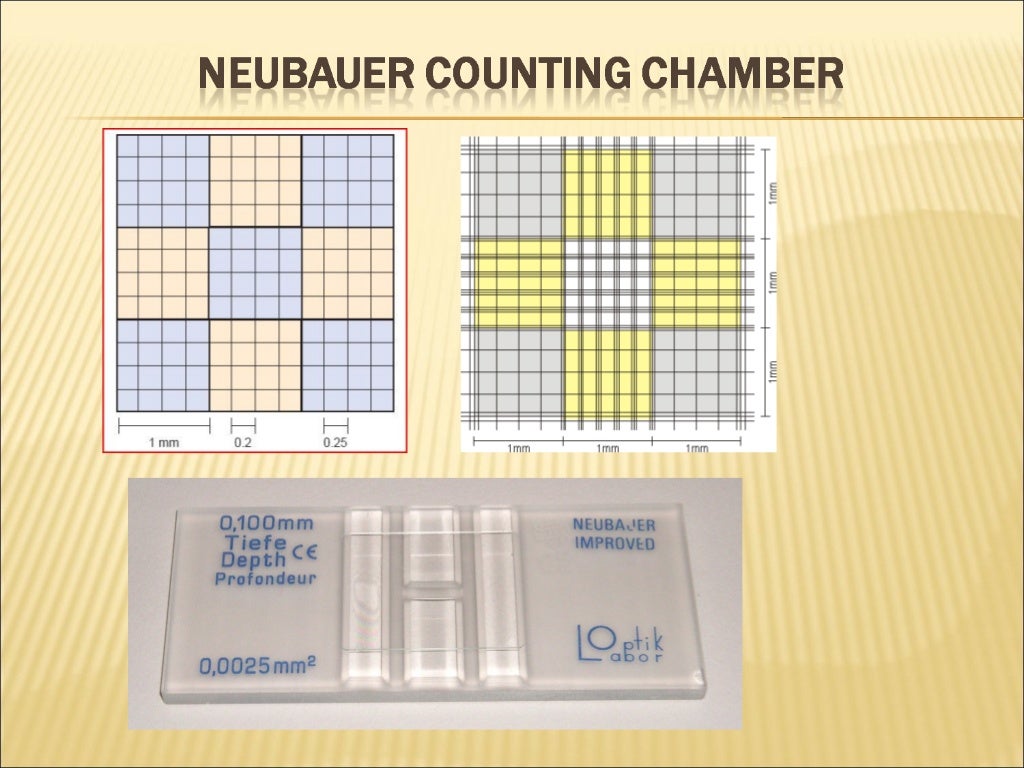 Hemocytometer Manual Cell Counting 1