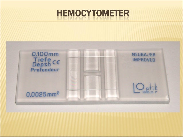 Hemocytometer manual cell counting (1)