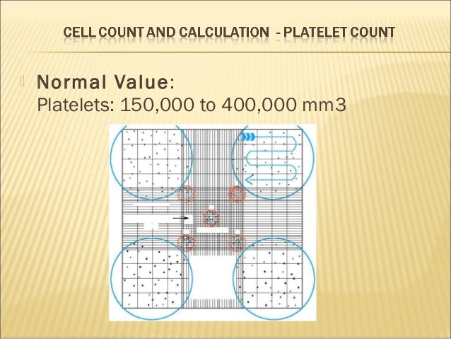 Hemocytometer manual cell counting (1)