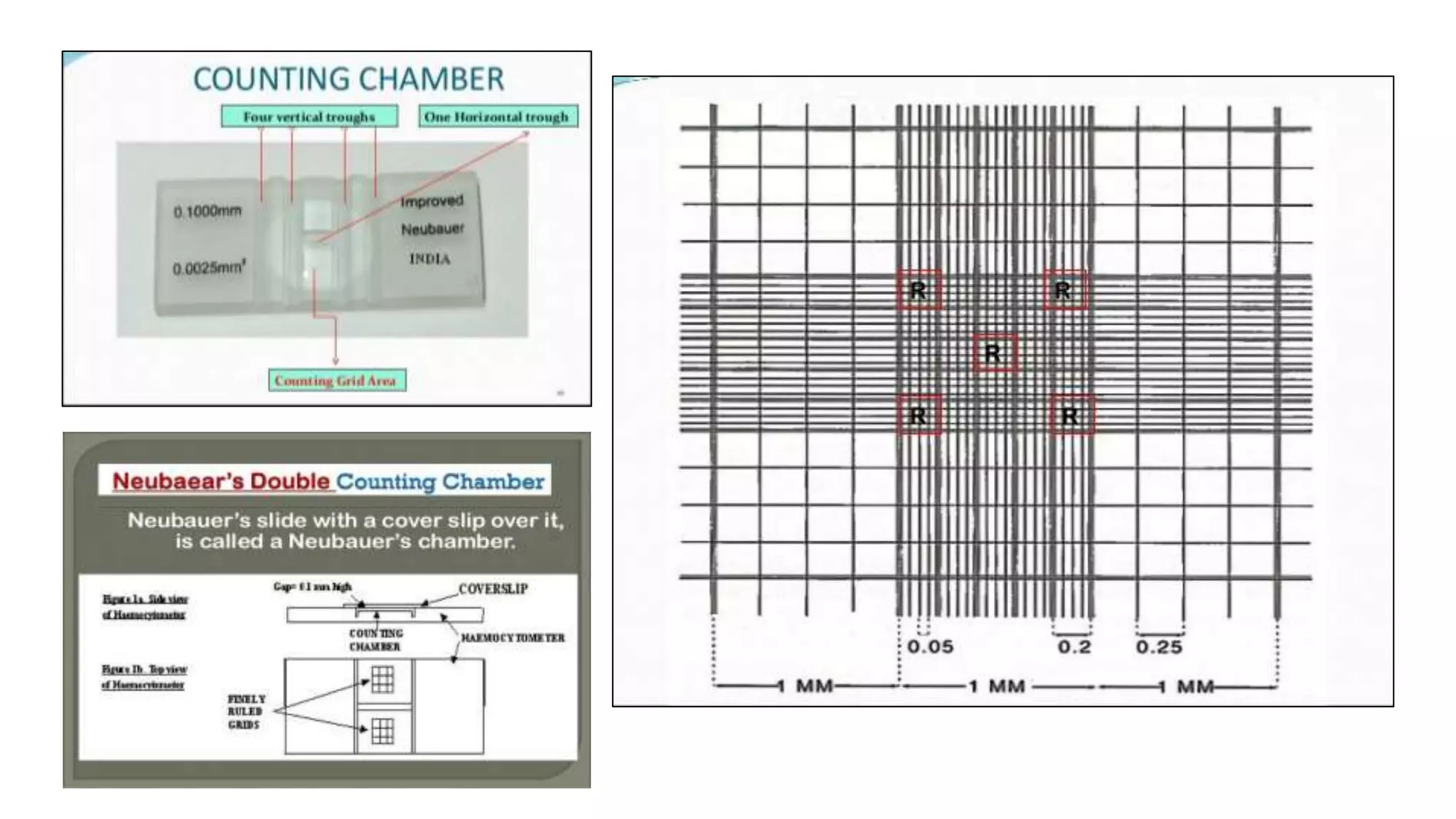 HEMOCYTOMETRY | PPTX