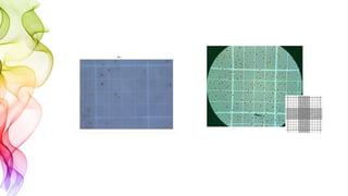 HEMOCYTOMETRY | PPTX