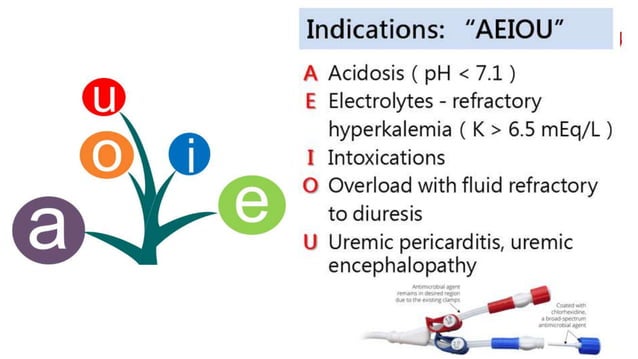 Hemodialysis | PPTX | Blood Disorders | Diseases and Conditions