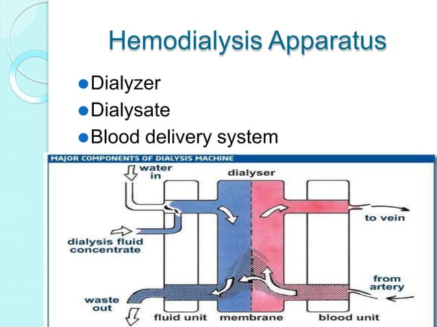 hemodialysis- mechanism and management.pptx | Blood Disorders | Diseases and Conditions
