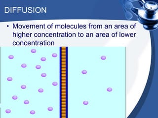 Hemodialysis and care of patients. | PPTX