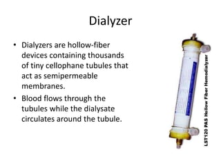 Hemodialysis: management of chronic kidney disease | PPTX