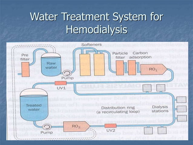 Hemodialysis.ppt | Blood Disorders | Diseases and Conditions