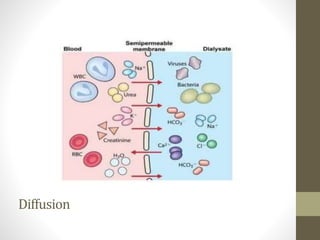 Dialysis step by step.pptx