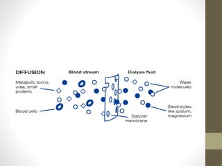 Dialysis step by step.pptx