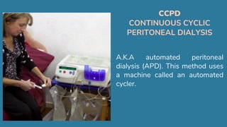 Hemodialysis Peritoneal Dialysis HPDDDDD | PDF
