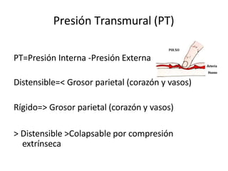 Hemodinamia ppt | PPTX