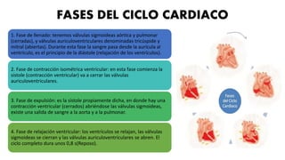 Hemodinamica | PPTX