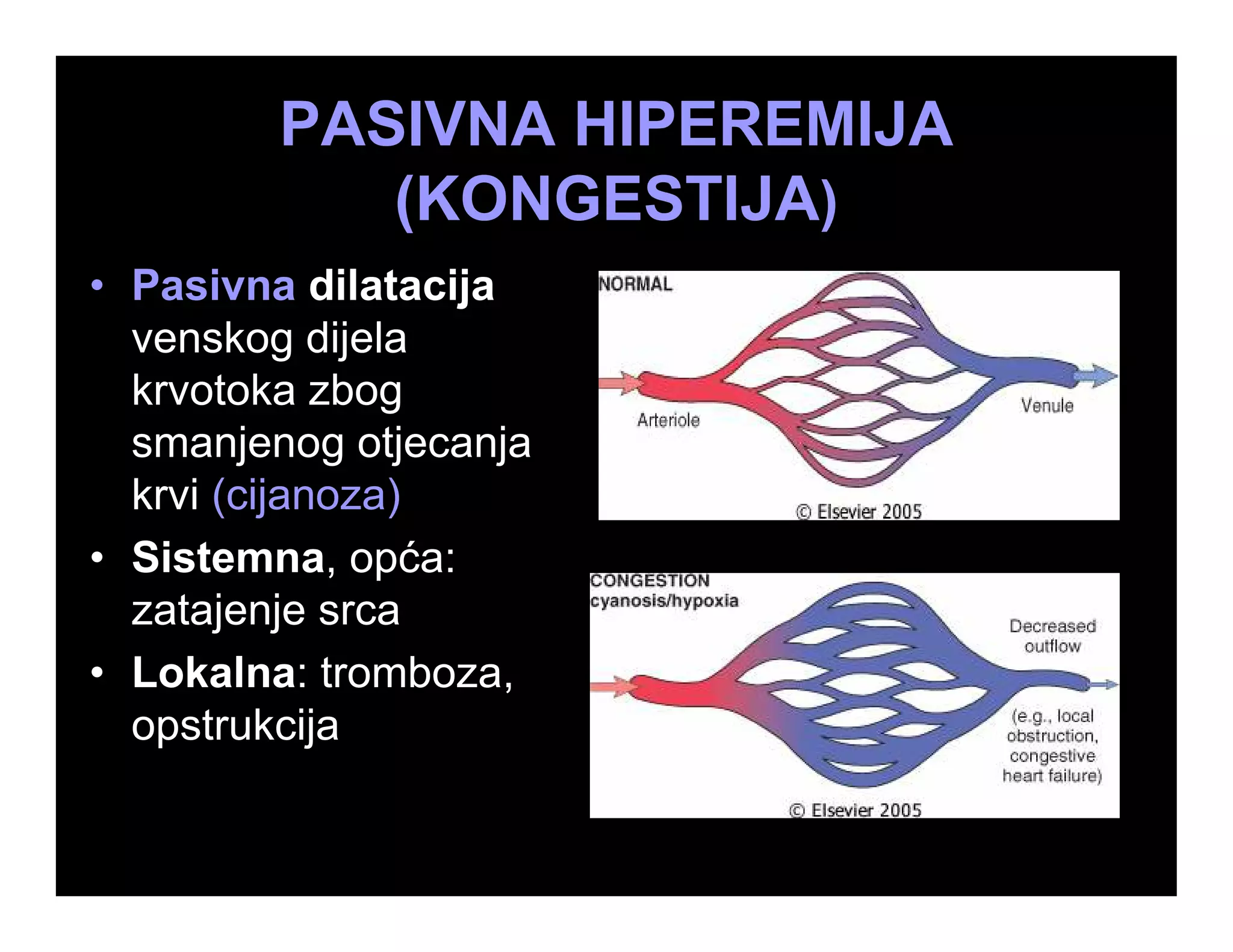 Hemodinamika | PDF
