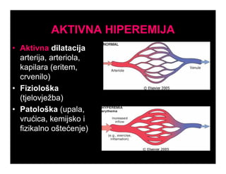 Hemodinamika | PDF