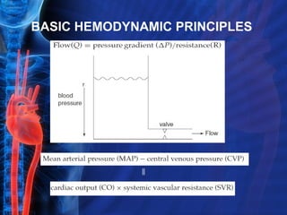Hemodynamic | PPT
