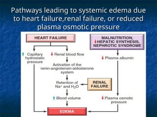hemodynamic + general Pathology for dental students | PPT