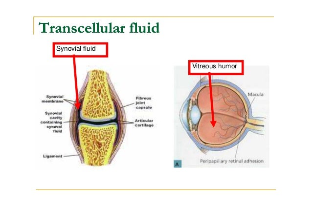 Hemodynamic disorder