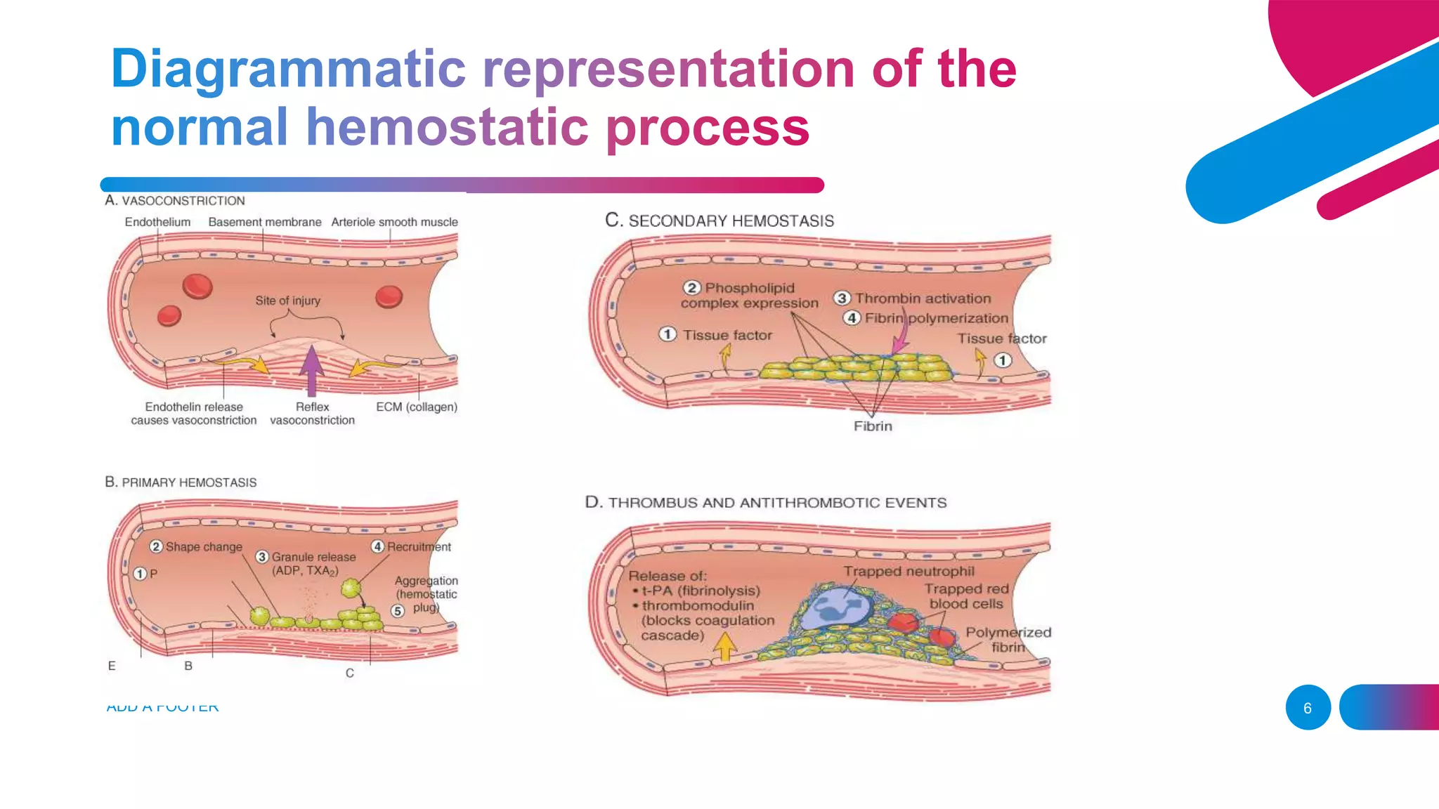 Hemodynamic Disorders.pptx