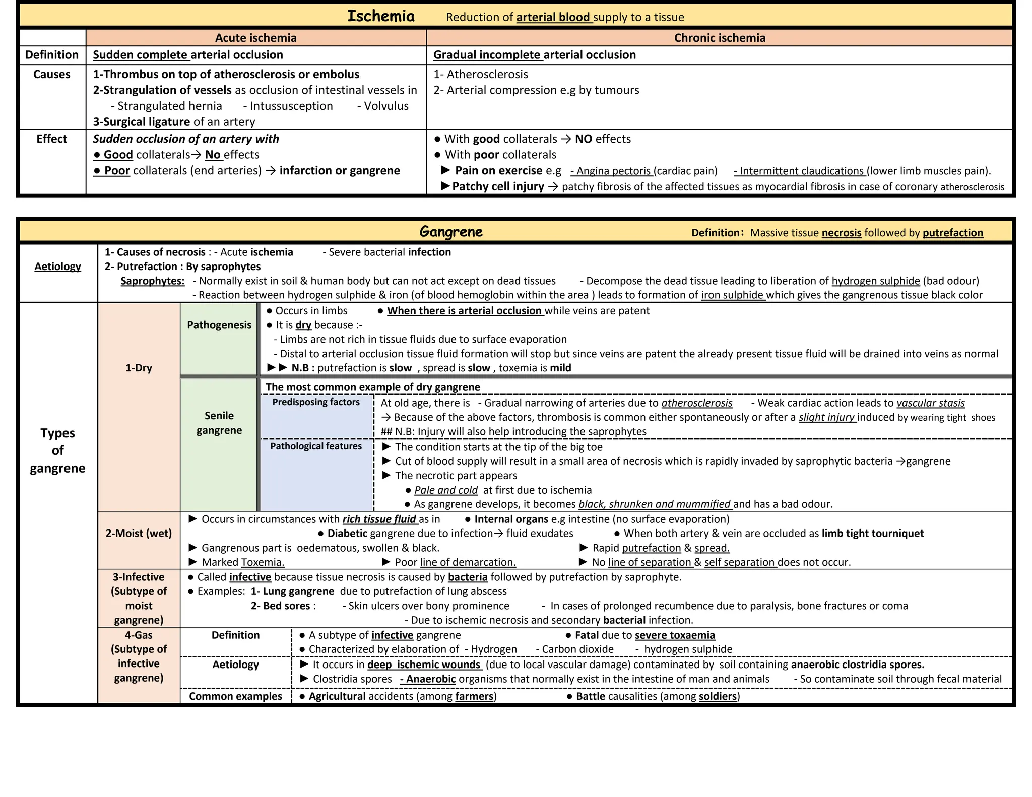 Hemodynamic disorders.pdf