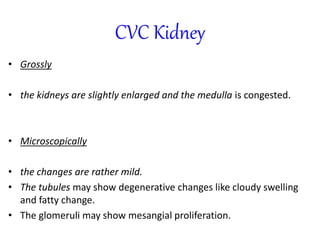 Hemodynamic disorders - Lecture-5 | PPTX