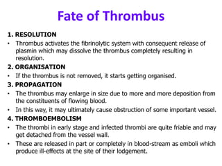 Hemodynamic Disorders, Thromboembolic Disease & Shock-HYPERCOAGULABLE ...