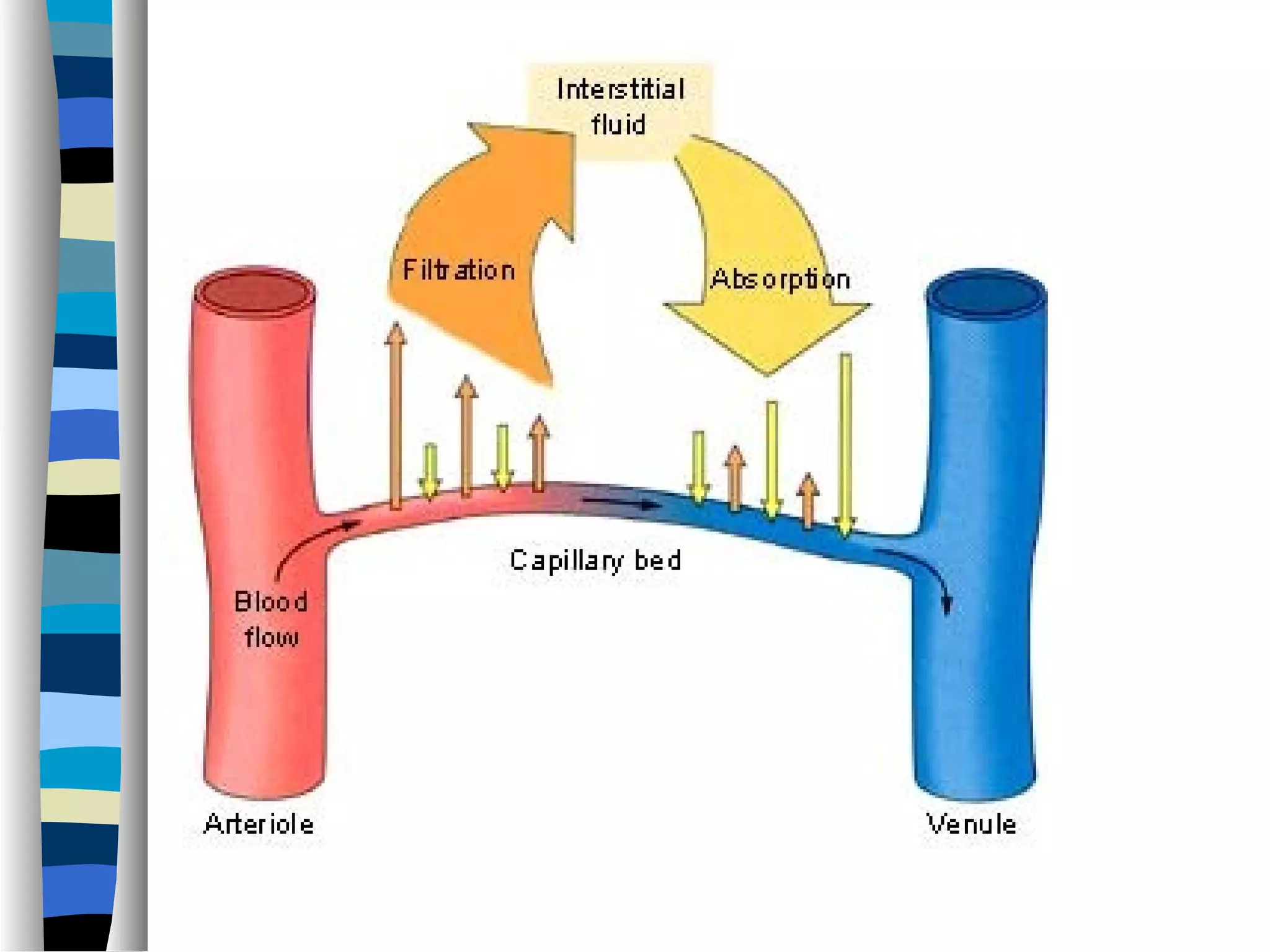 Hemodynamic disturbance | PPT
