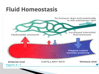 Hemodynamic & Haemostasis Disturbances.pptx