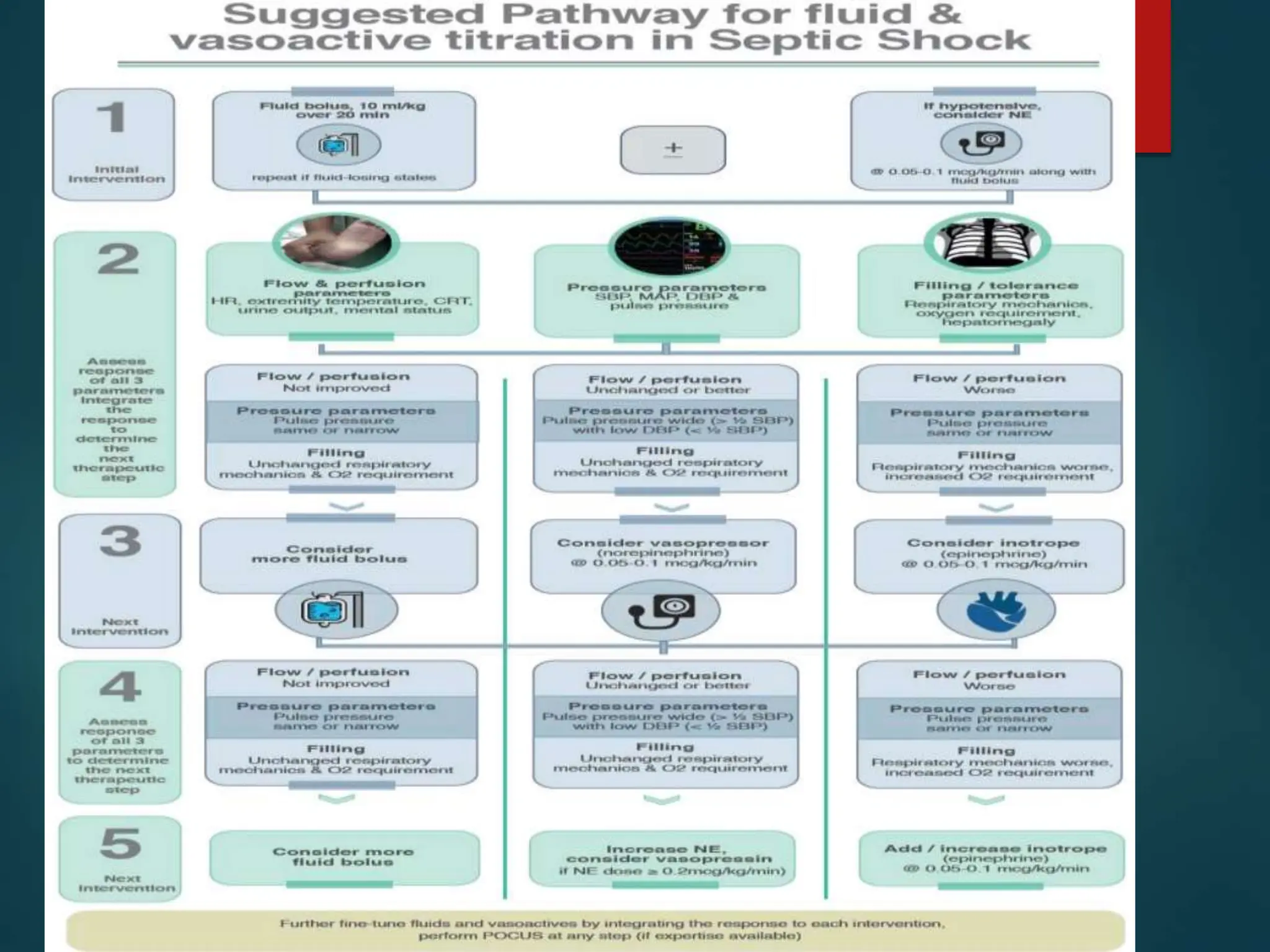 HEMODYNAMIC_MANAGEMENT_STRATEGIES_IN_PEDIATRIC_SEPTIC_SHOCK[1].pptx