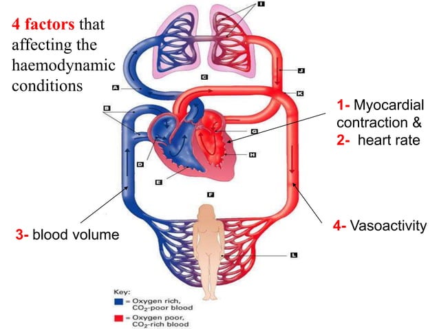 Hemodynamic Monitoring .pptx | Heart and Cardiovascular Diseases | Diseases and Conditions