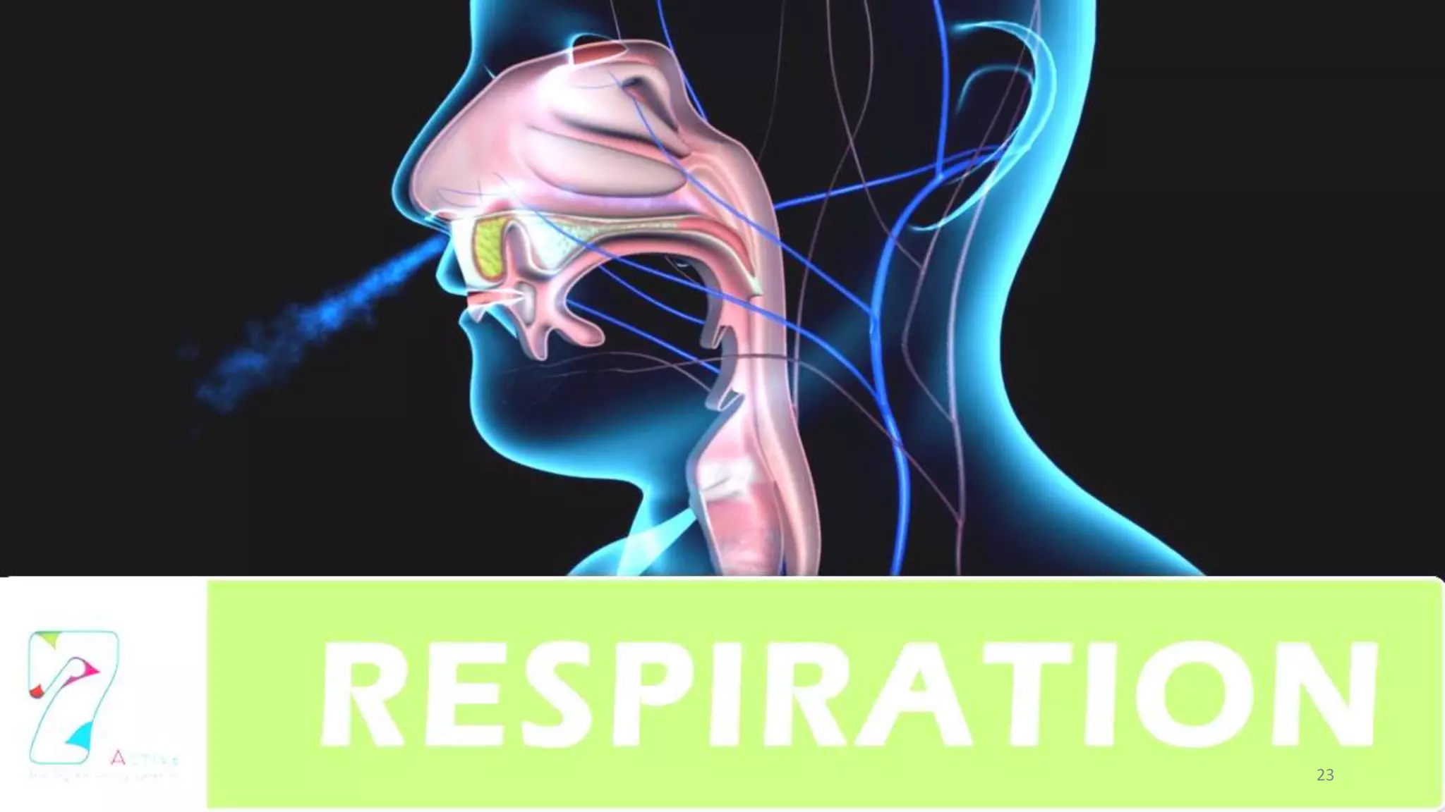 Hemodynamic monitoring non invasive | PPTX
