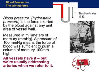 Hemodynamic principles ms limu monday 2017 | PPT