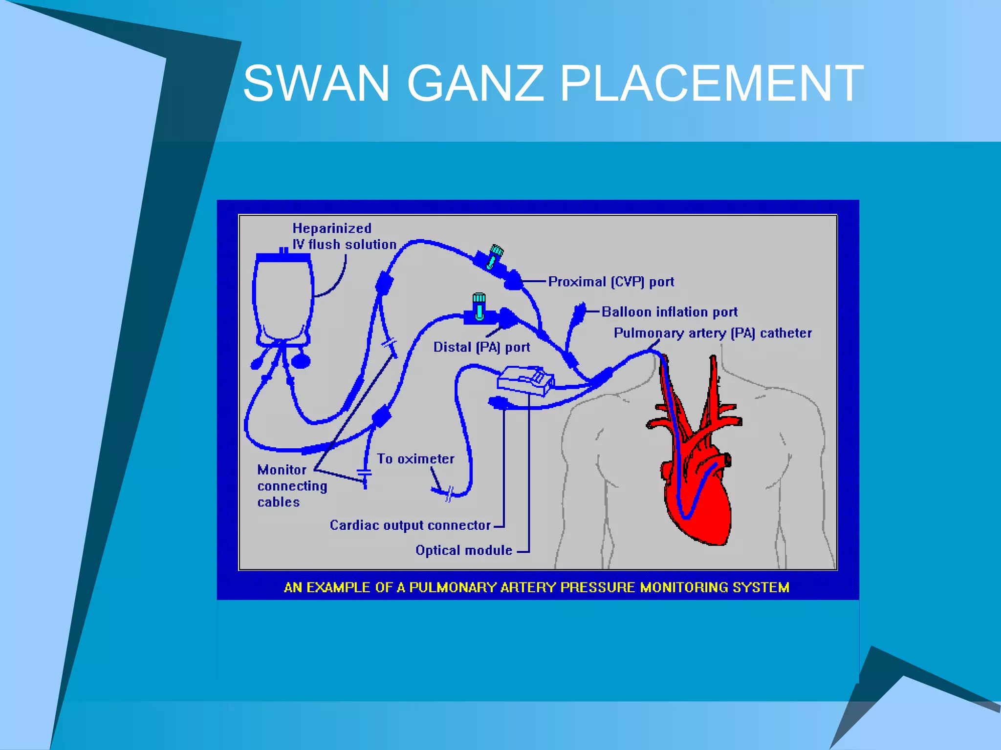 Hemodynamics | PPT