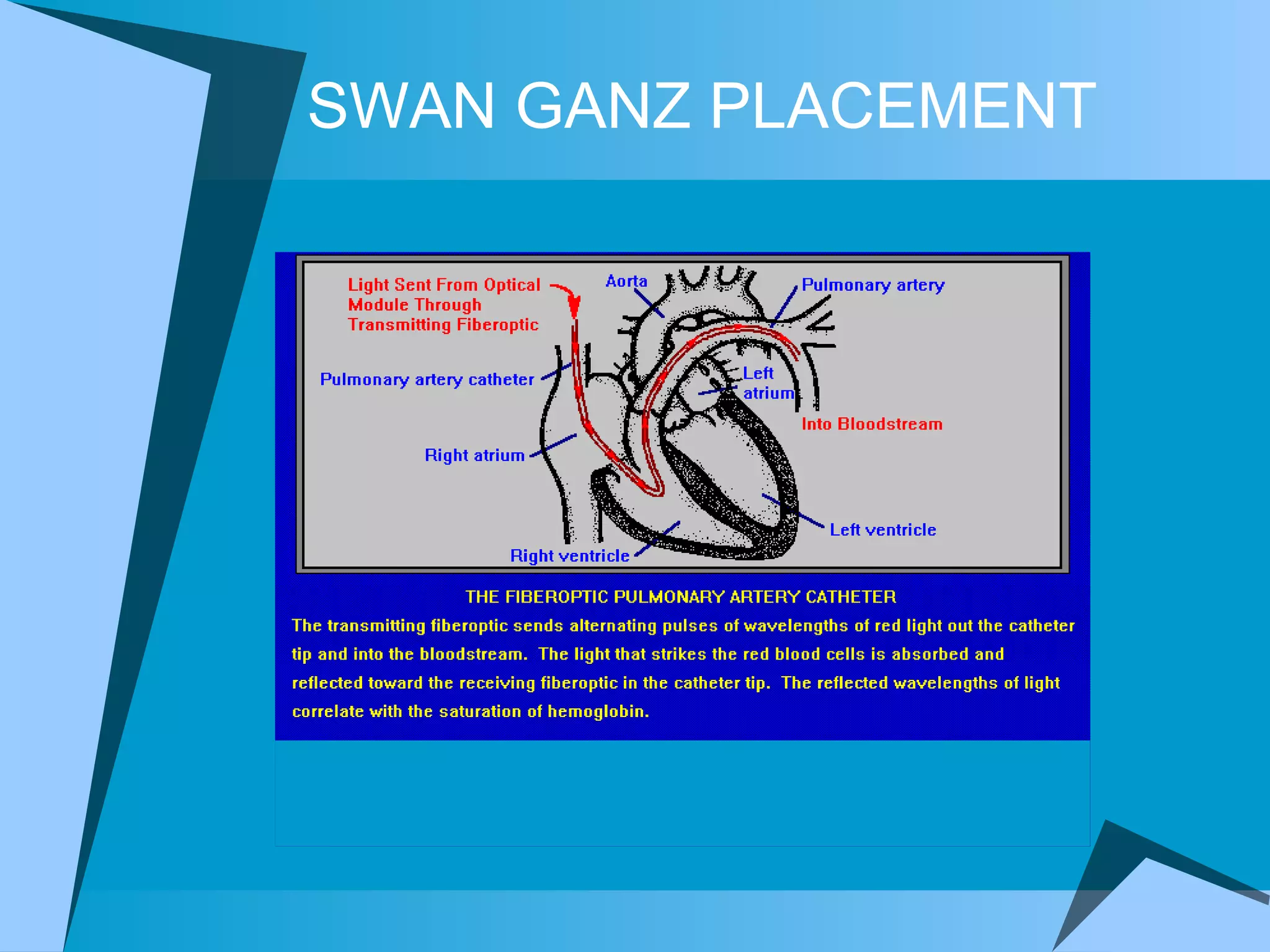 Hemodynamics | PPT