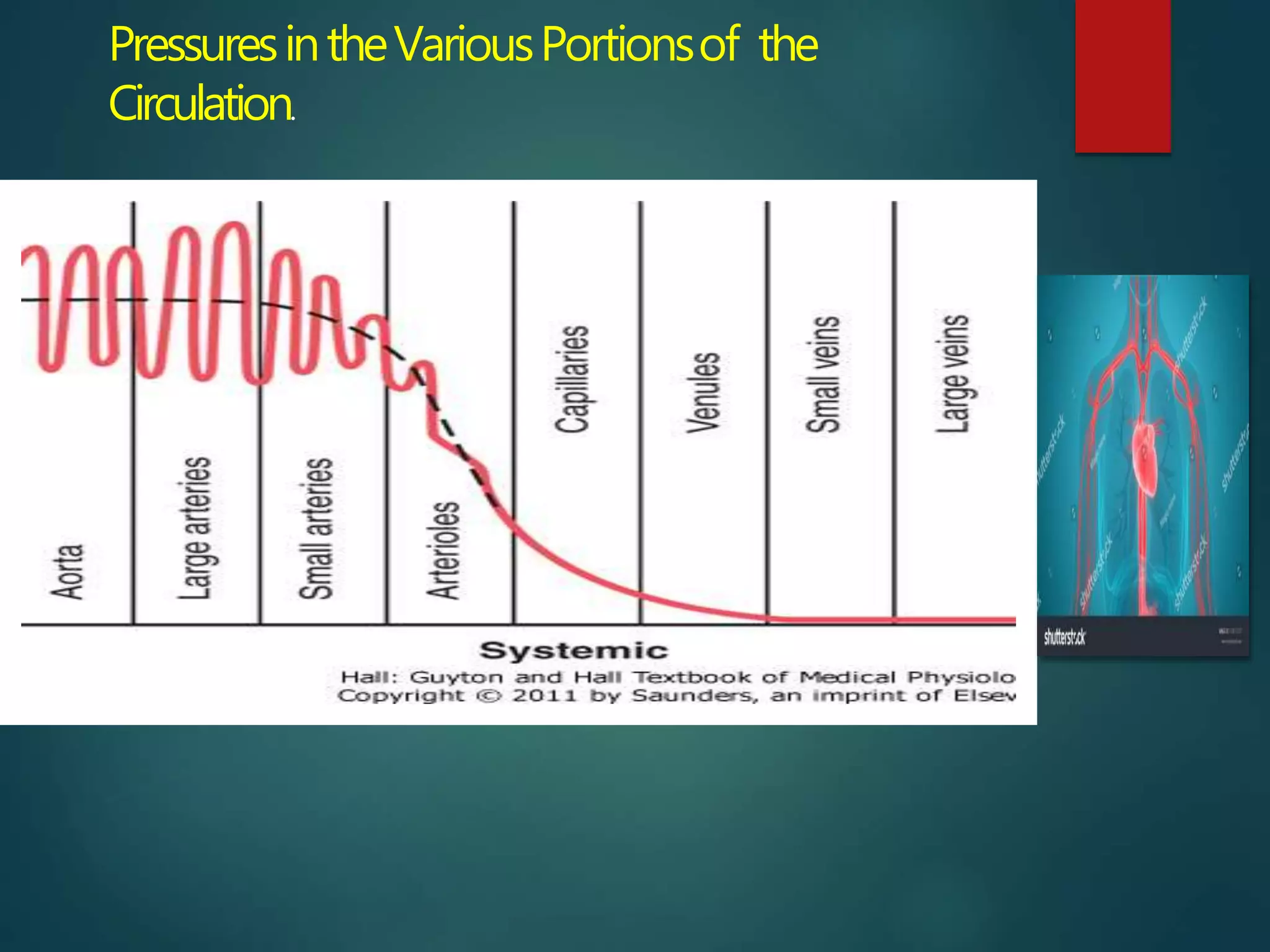 Hemodynamics over view of circulation | PPT